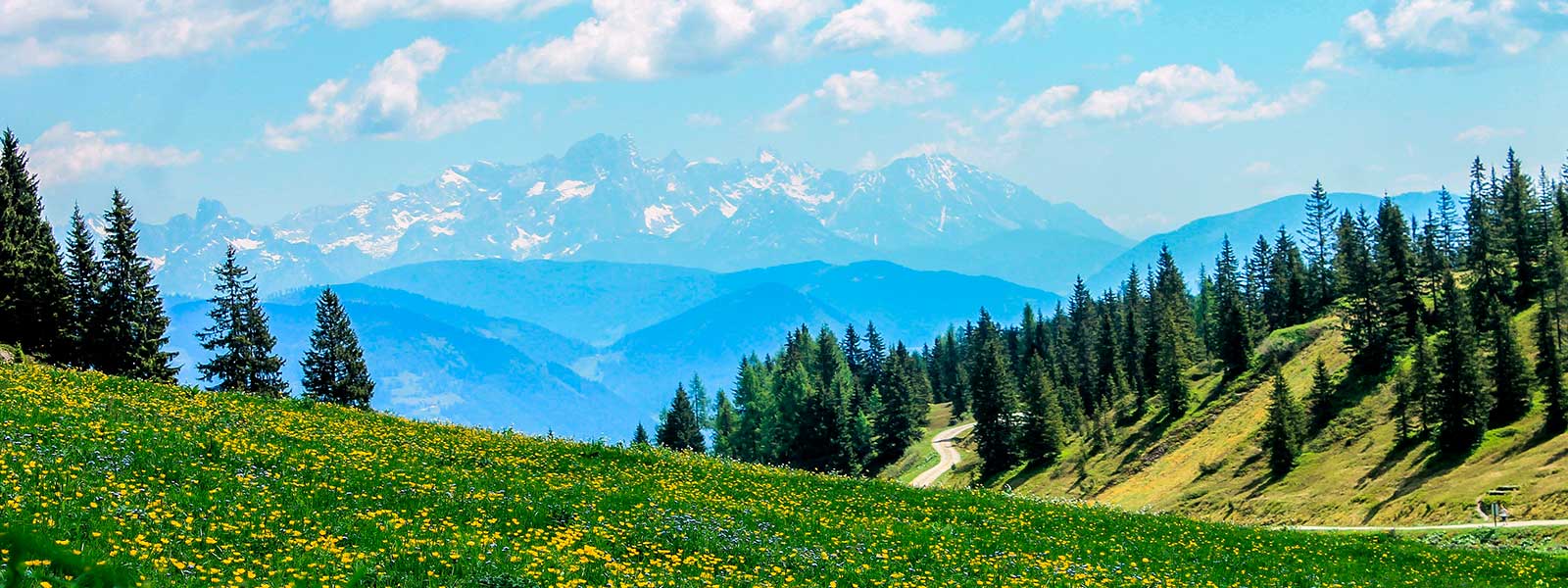 Infos zu unseren Rad- und Aktivreisen - Reck Busreisen & Touristik GmbH